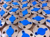 China F304L Blind DN50 Stainless Steel Flanges EN1092-1 ASME B16.5 for sale
