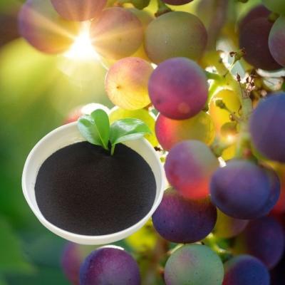 China EDDHA-Fe Organic Fertilizer Amino Acid Powder with 4.8 Ortho-Ortho Fe and 6% Iron Content for pH 3-10 Soil for sale