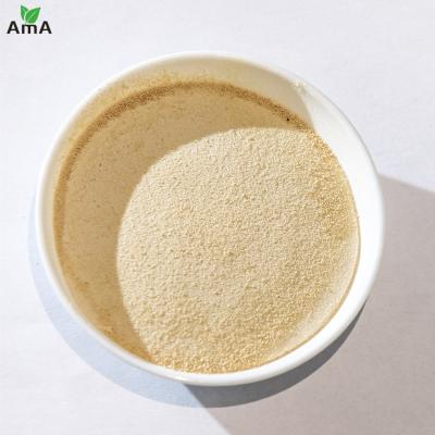 China Compound Amino Acid Powder 45% for Plants Foliar Spray Drip Irrigation 18% Nitrogen for sale