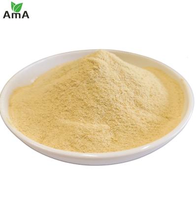 China Soya Source Amino Acid Foliar Fertilizer 60% Powder with 20% Glutamic Acid for Field Crops for sale