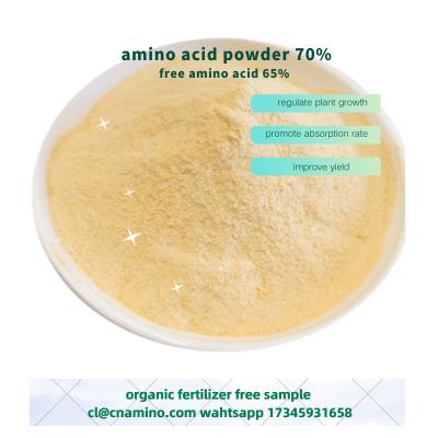 China Foliar Amino 70% Fertilizer Powder with 65% Free Amino Acids for Agriculture and Farming Plants for sale