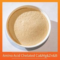 China Amino Acid Chelated Ca Mg Zn B Micronutrients Fertilizer Yellow Powder 30% Amino Acid for sale