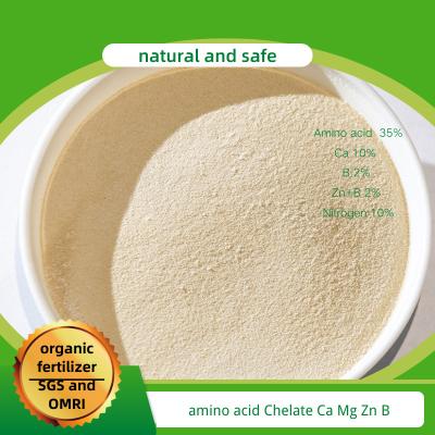 China Amino Acid Chelate Calcium Magnesium Zinc Boron Organic Fertilizer 30% Amino Acid 10% Ca for sale