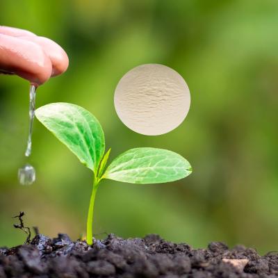 China Natural Protein Amino Acid Powder 40% Water Soluble Fertilizer for Drip Irrigation and Foliar Spray for sale