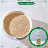 China Fe Zn B Cu Mn Organic Amino Acid Chelate Fertilizer 25% Min with 10-15% Trace Elements for Enhanced Crop Growth for sale