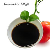China Vegetal Origin Amino Acids Liquid Fertilizer 300g/L Foliar Fertilizer for Plants for sale