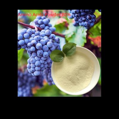 China Enzymolysis Amino Acids Powder Organic Fertilizer 85% Total Amino Acid 16% Organic Nitrogen for sale