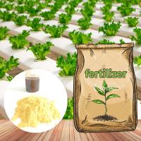 China Vegetable Amino Acid Chelate Fe Organic Fertilizer 25% Amino 10% Iron Water Soluble for sale