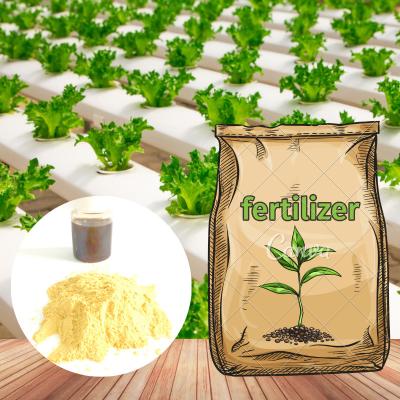 China Vegetable Amino Acid Chelate Fe Organic Fertilizer 25% Amino 10% Iron Water Soluble for sale