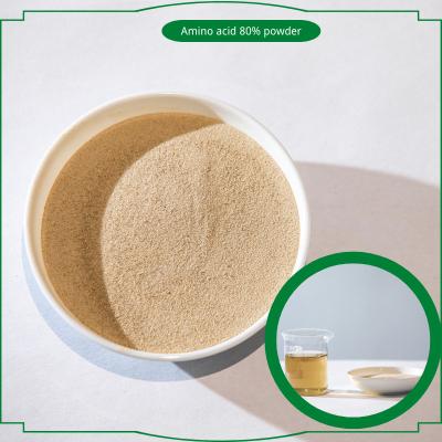 China Hydrolysate Animal Protein Based Amino Acid Powder 80% - 14% Total Nitrogen Organic Fertilizer for Agricultural Use for sale