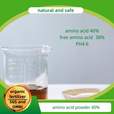 China Sulfuric Amino Acid Powder Fertilizer 40% Chlorine Free for Crops for sale