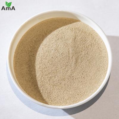 China Pure Protein Dry Fish Fertilizer Hydrolysate Powder 15-1-1 for Organic Farm Vegetable Fruits for sale