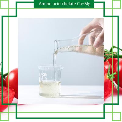 China Amino Acid Chelate Calcium Magnesium Liquid Fertilizer 350g/L for Fruits for sale