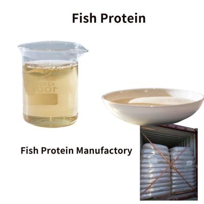 China FAA 80% Fish Protein Organic Nitrogen Fertilizer Powder pH 4-6 15-1-1 for sale