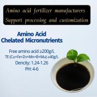 China Amino Acid Chelated Micronutrients Liquid Fertilizer Cu Fe Zn Mn B Mo 200g L TE 40g L for sale