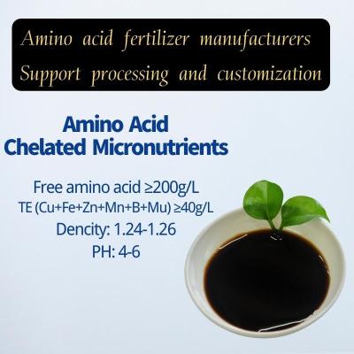 China Amino Acid Chelated Micronutrients Liquid Fertilizer Cu Fe Zn Mn B Mo 200g L TE 40g L for sale