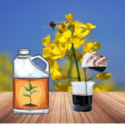 China Amino Acid Chelate Calcium Magnesium Boron Organic Liquid Fertilizer 200g/L for Crops for sale