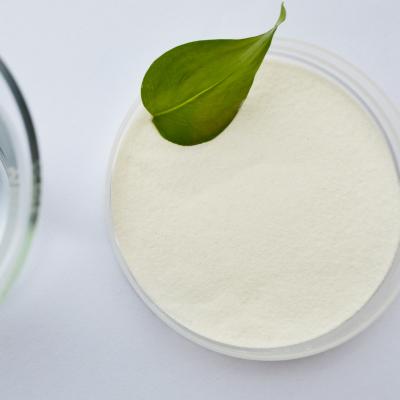 China Food Grade Konjac Root Extract Powder - Glucomannan with ≥20,000 Viscosity and 18-Month Shelf Life for sale