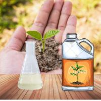 China Amino Acid Chelate Zinc Boron Liquid Organic Fertilizer 12% ZnB 25% Amino Acid for Crops for sale