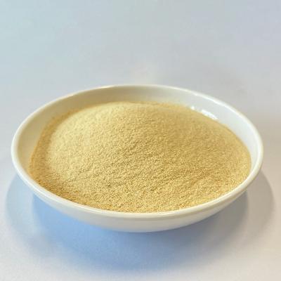 China Vegetal Amino Acid 52% Yellow Powder N 19 Amino Acid Fertilizer for Fruits for sale