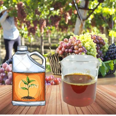 China Liquid Amino Acid Foliar Fertilizer Peptides Chelate ZnMnBMo 550g/L for Agricultural Farm for sale