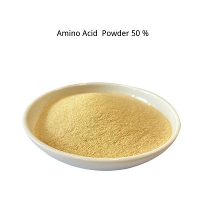 China 45% Vegetable Amino Acid Powder N19 Fluidity Amino Acid Powder for Agriculture for sale