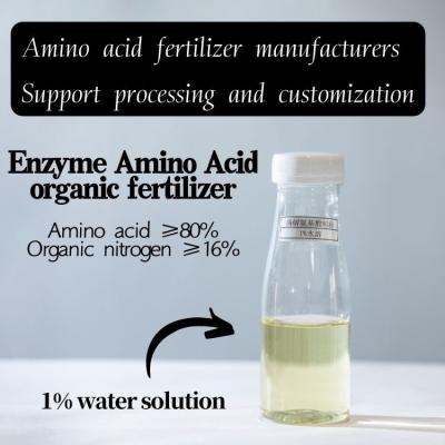 China Soybean Protein Based Enzyme Amino Acid 80% for sale