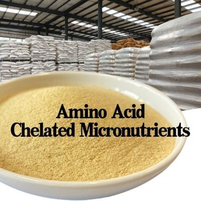 China Amino Acid Chelate Micronutrients Cu Fe Zn Mn B Mo Organic Foliar Fertilizer 600-800x Dilution for sale