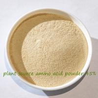 China Amino Acid Powder 45% Water Soluble Fertilizer for Plants Foliar Spray Irrigation for sale