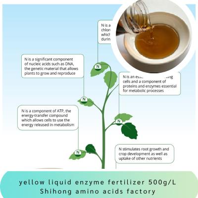 China Enzyme Acid Liquid Fertilizer Amino Acid Peptides 500g/L OMRI 8-0-0 for sale