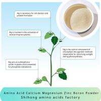 China Amino Acid Chelated Ca Mg Zn B Powder Fertilizer for Fruits Vegetables 30% Amino Acid for sale