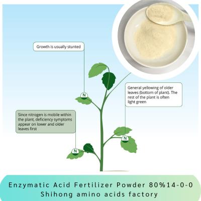 China Enzymatic Acid Fertilizer Powder Amino Acid 80% NPK 14-0-0 Plant Biostimulant for sale