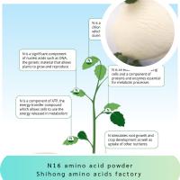 China N16 85% Peptides Amino Acid Powder Fertilizer Chloride Free 65072-01-7 for Plants for sale