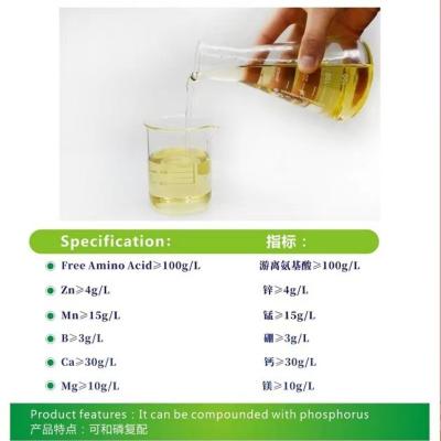 China Amino Acid Chelated Calcium Magnesium Zinc Boron Fertilizer for Fruits Organic Farming 2-15L/ha for sale