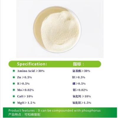 China Amino Acid Chelated Calcium Magnesium Zinc Boron Fertilizer for Fruits Vegetables 20-20-20 for sale