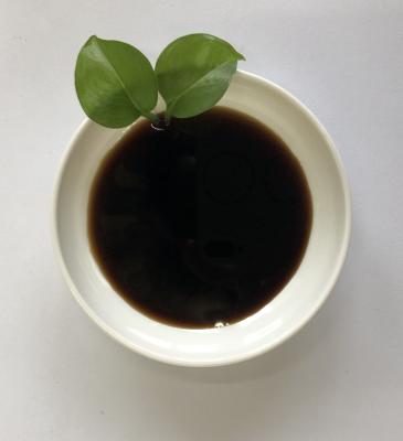 China Organic Amino Acid Liquid Fertilizer 30-50% Free Amino Acids 50% Peptides for Plant Growth for sale
