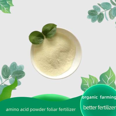 China Amino Acid Foliar Fertilizer 40% Total Amino Acid 13.5% Nitrogen for Stronger Roots for sale