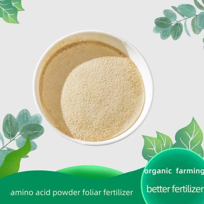 China Calcium Magnesium Zinc Boron Molybdenum Amino Acid Foliar Fertilizer 100% Soluble Powder 30% AA for sale