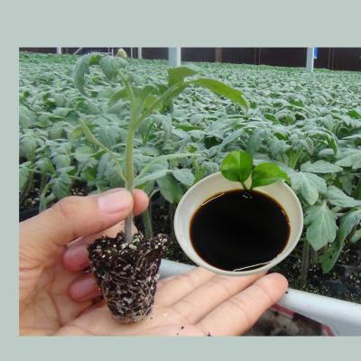 China Amino Acid Chelated Cu Fe Zn Mn B Mu Liquid Fertilizer 600-800x Foliar Spray for sale