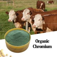 China 8% Chromium Picolinate Organic Chromium Salt Animal Feed Additive with 25% Amino Acid in 20kg Bags for sale