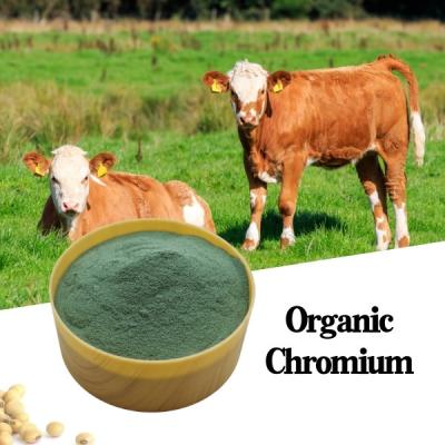 China 8% Chromium Amino Acid Organic Protein Animal Feed Additive Green Powder with 25% Amino Acid Content for sale