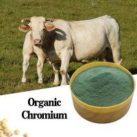 China Chromium Picolinate Powder 8% Organic Feed Additive for Sow Fertility and Livestock Health - 20kg Bag for sale