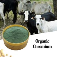 China Organic Chromium Feed Additive with 8% Chromium & 25% Amino Acid for Livestock Nutrition for sale