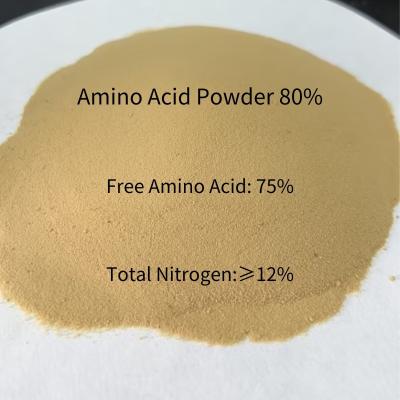 China Shihong Soybean Free Amino Acid Powder Fertilizer 80% Total Amino Acid pH 4-6 for sale