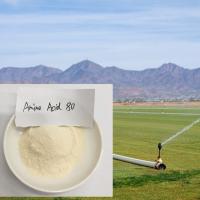 China Amino Acid Powder N16 Organic Nitrogen Fertilizer 80% Water Soluble Foliar for sale