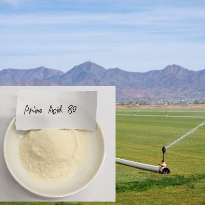 China Amino Acid Powder N16 Organic Nitrogen Fertilizer 80% Water Soluble Foliar for sale