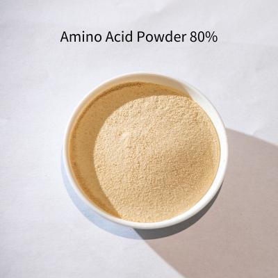 China Ph4-6 Hydrolysate Amino Acid 80% Fertilizer Organic N14 for Plants for sale