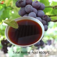 China Amino Acid Liquid Fertilizer 45% Total Amino Acid 30% Polypeptides Organic Foliar Fertilizer for sale