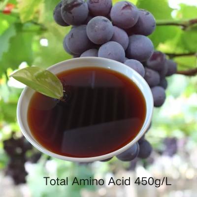 China Amino Acid Liquid Fertilizer 45% Total Amino Acid 30% Polypeptides Organic Foliar Fertilizer for sale