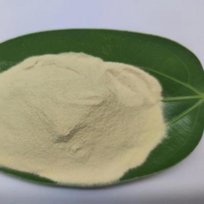 China Amino Acid Powder Fertilizer 10% Nitrogen Organic OMRI for Sustainable Agriculture for sale